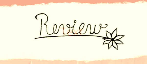 How to write a book review in a few minutes? - Fantasy Books Land